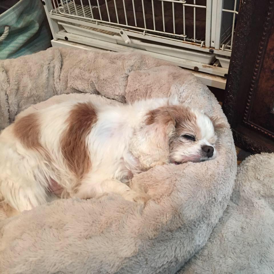 Happy Birthday, SF Writer Rosemary Edghill - SCIFI.radio